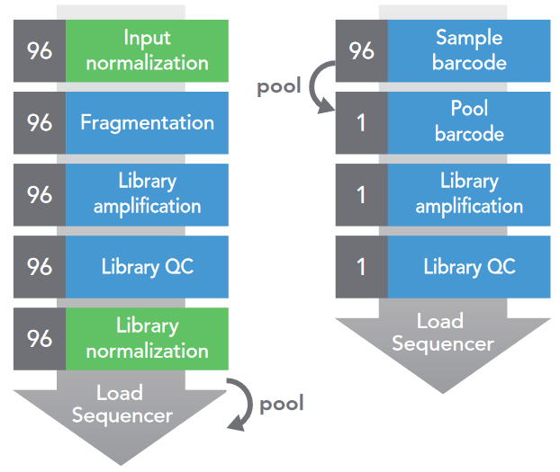 NGS Library Preparation | plexWell | Cambridge Bioscience